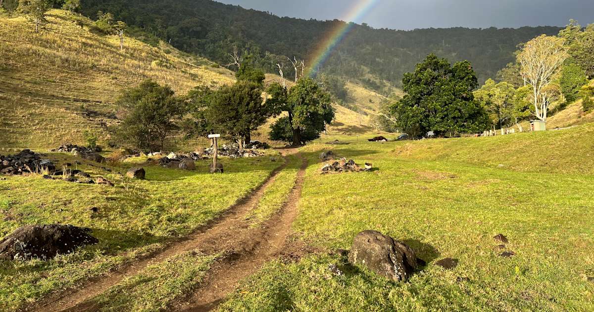 Discover the 20 best campgrounds in Northern Rivers