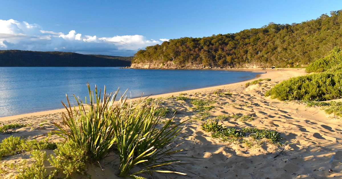 Best Camping in and near Patonga Beach