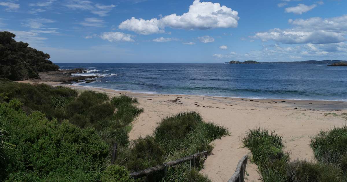 Best Camping in and near Racecourse Beach