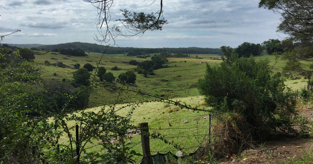Best Camping in and near Milton Showground