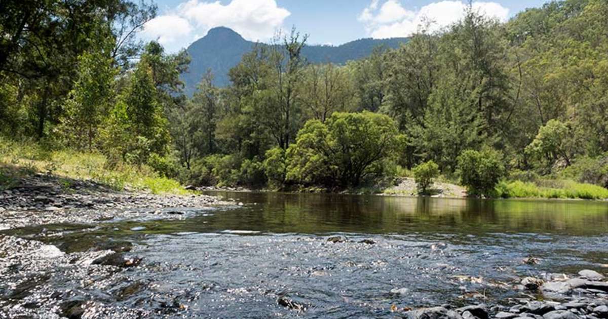 Best Camping in and near George's Junction