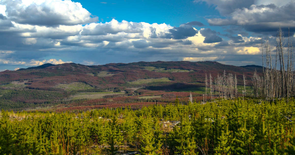 Best Camping in and near Greenstone Mountain Provincial Park