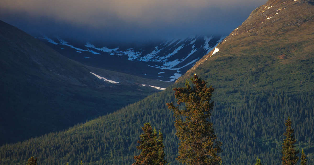 Best Camping in and near Kitwanga Mountain Provincial Park