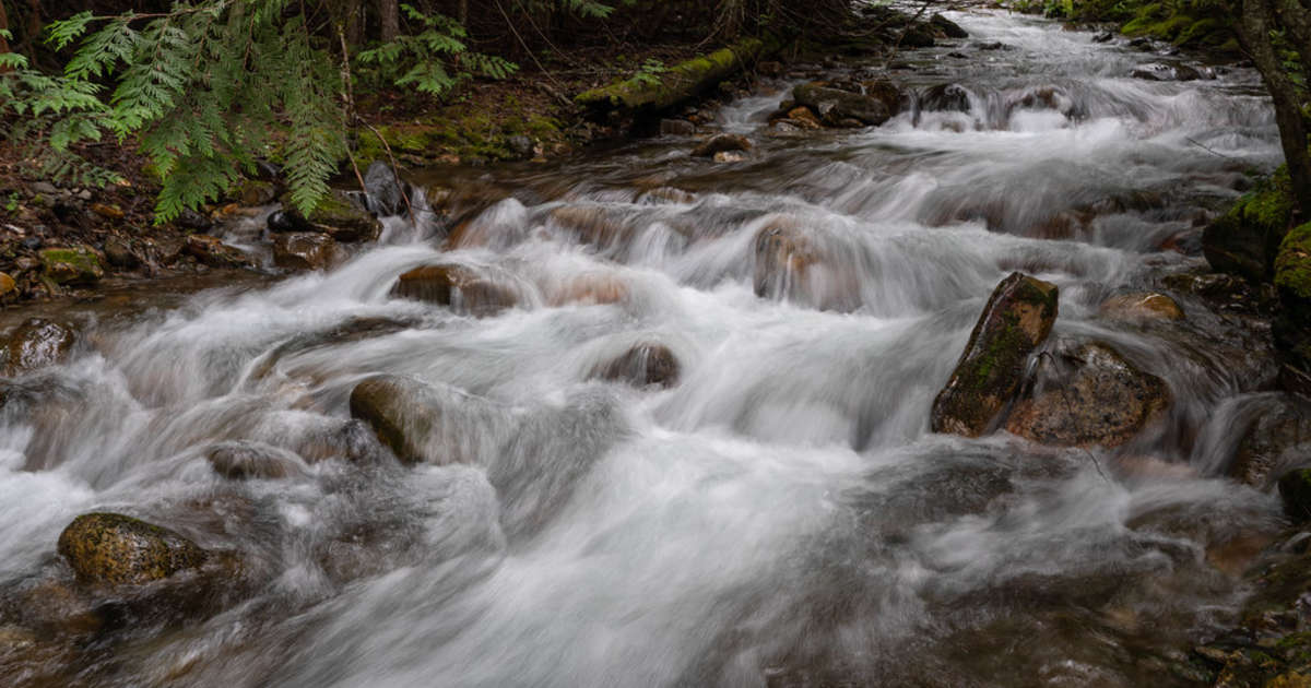 Best Camping in and near Lockhart Beach Provincial Park