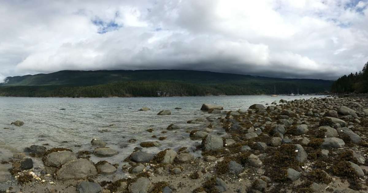 Best Camping in and near Okeover Arm Provincial Park