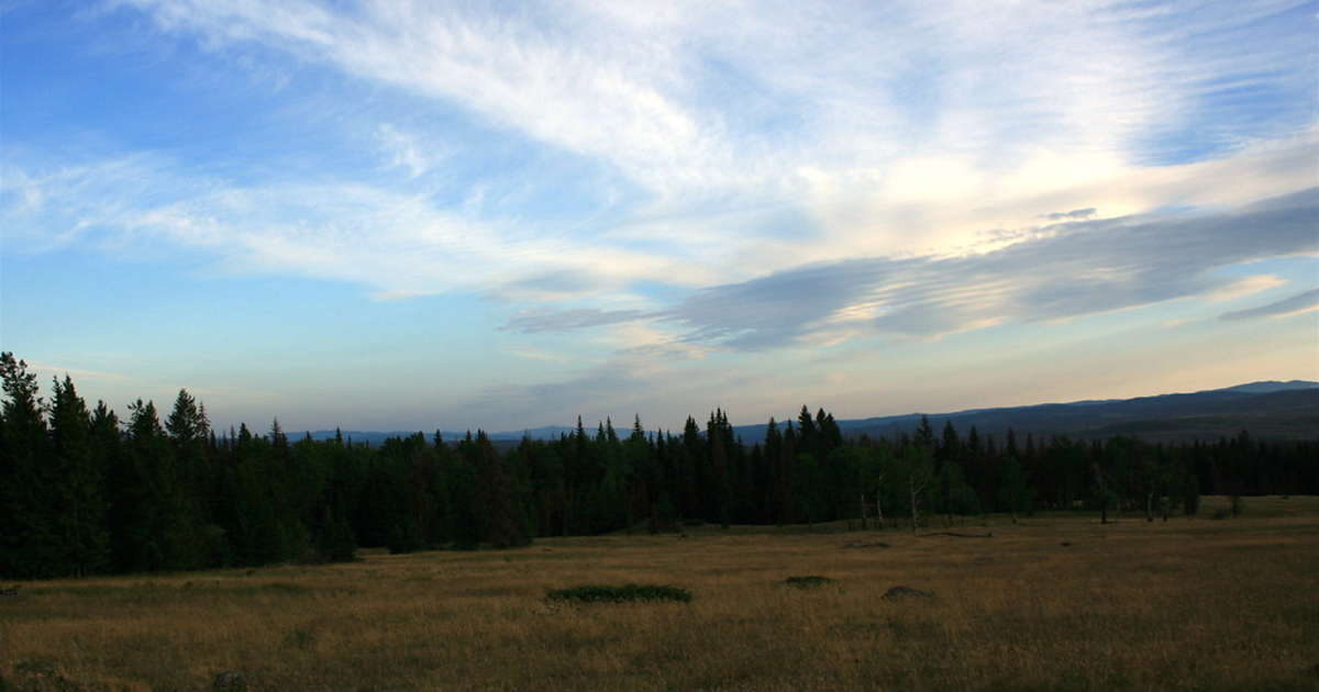 Best Camping in and near Tunkwa Provincial Park