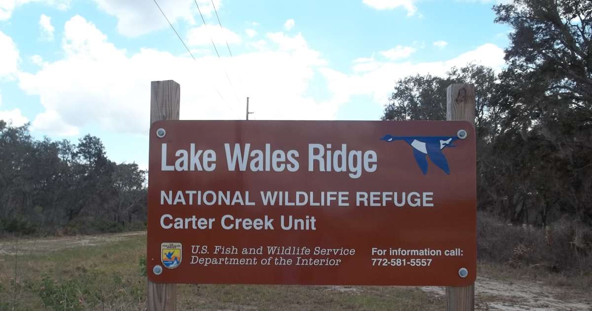 Best Camping in and near Lake Wales Ridge National Wildlife Refuge