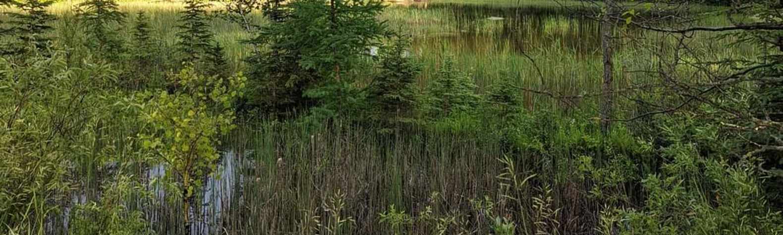 Best camping in Pinawa Dam Provincial Park, MB 2026