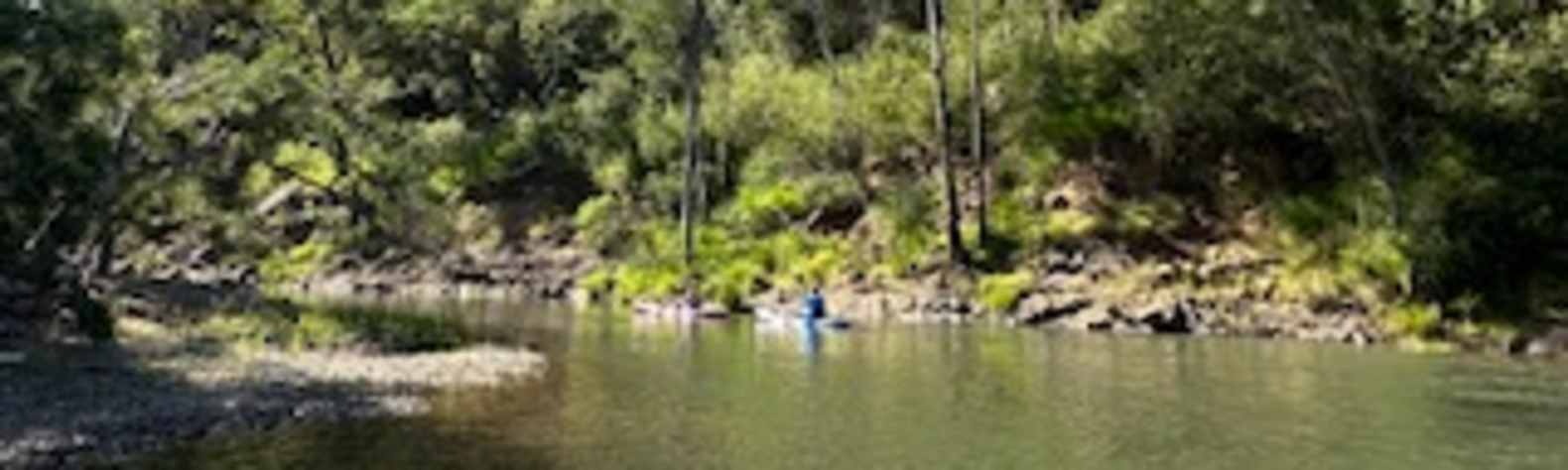 Best camping in Dooragan National Park, NSW 2025
