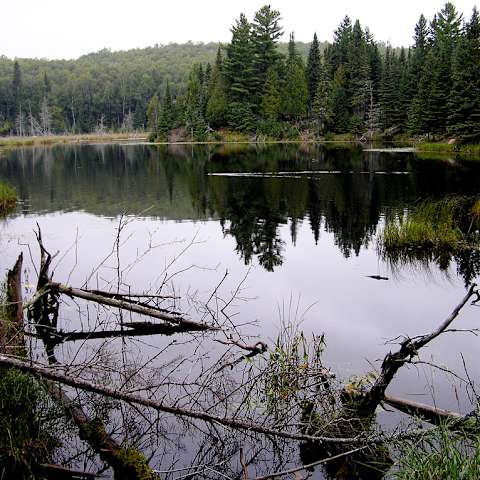 Iron Lake Campground, Superior, MN: