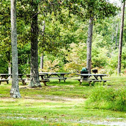 Deam Lake State Recreation Area, Deam Lake, IN: 4 Photos