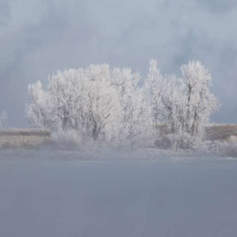 Sanish Campground, Lake Sakakawea, ND: