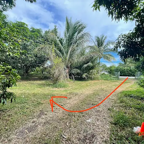 Rama Farm - Hipcamp in South Miami Heights, Florida