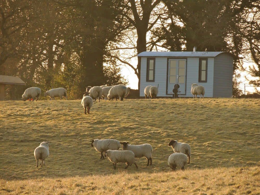 Top Farm - Hipcamp in Norfolk, England