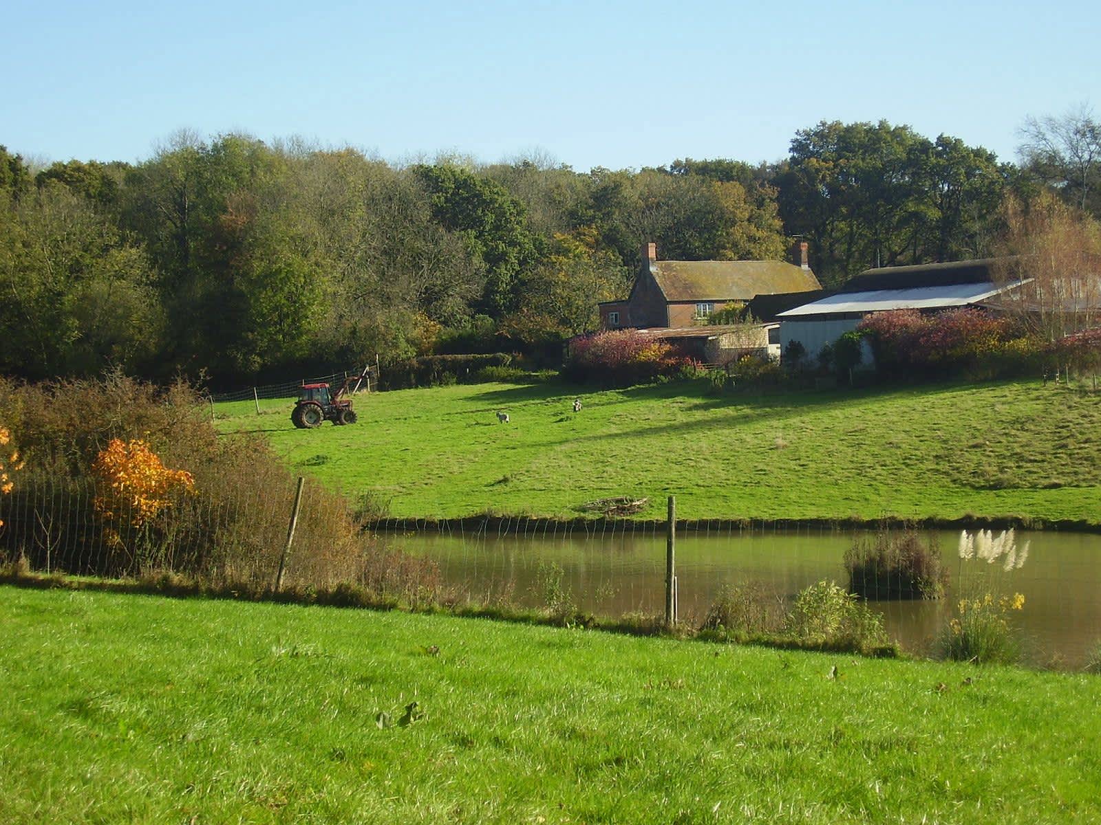 Bush Farm - Hipcamp in Wiltshire, England
