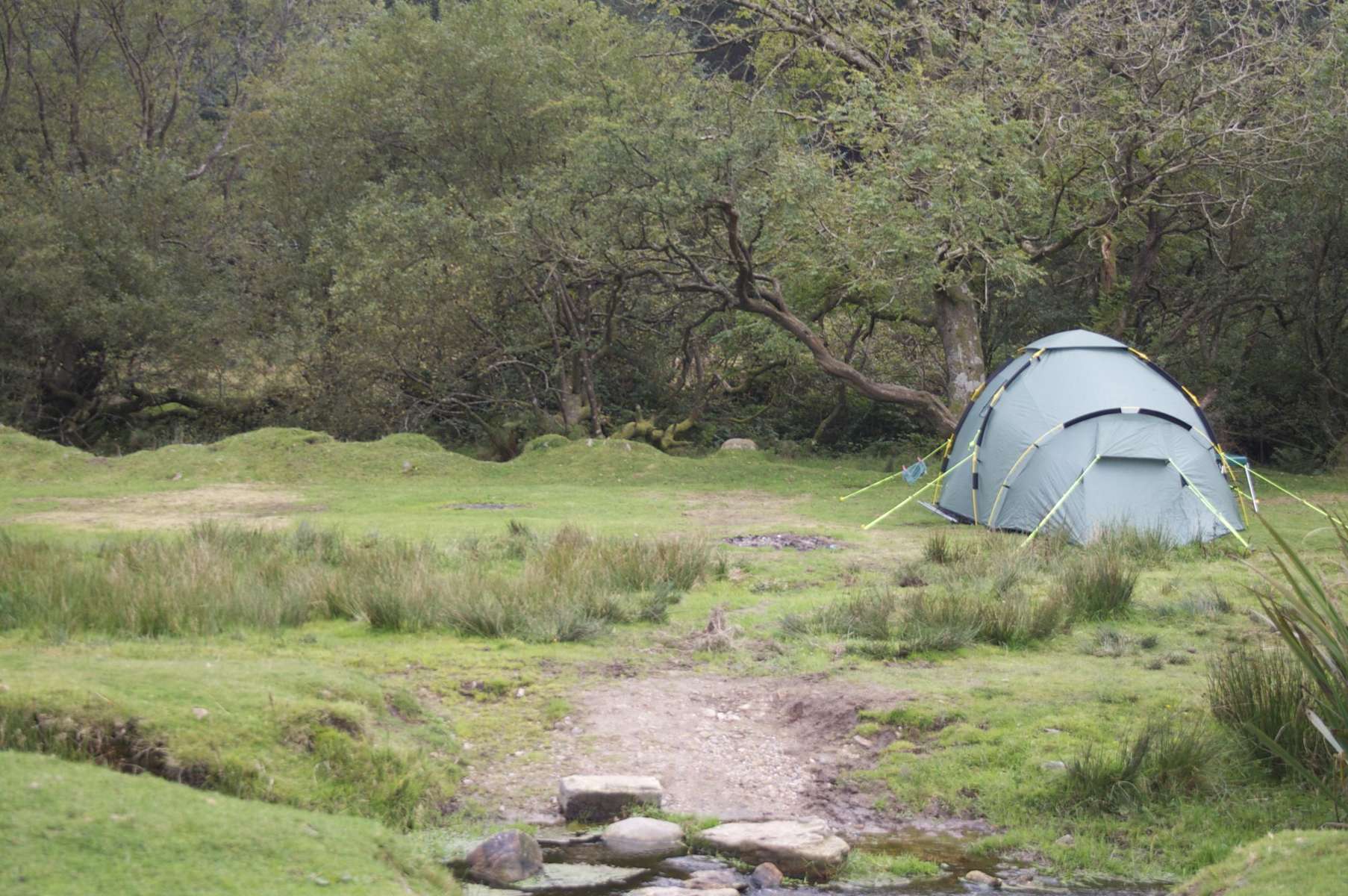 Runnage Farm - Hipcamp in Devon, England