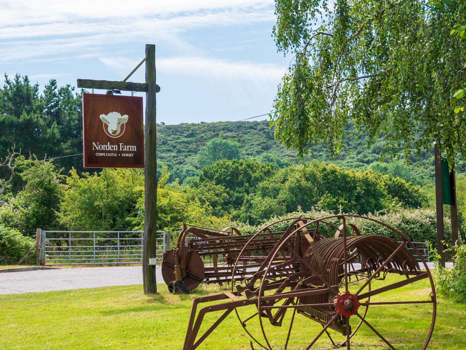 Norden Farm - Hipcamp in Dorset, England