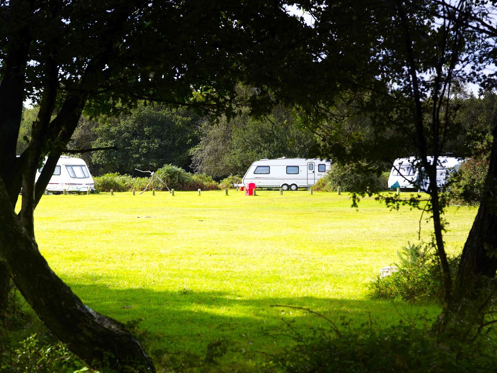 Longbeech Camping - Hipcamp in Hampshire, England