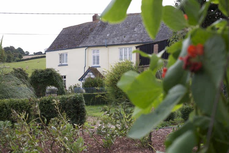 Lower Rodhuish Farm - Hipcamp in Somerset, England