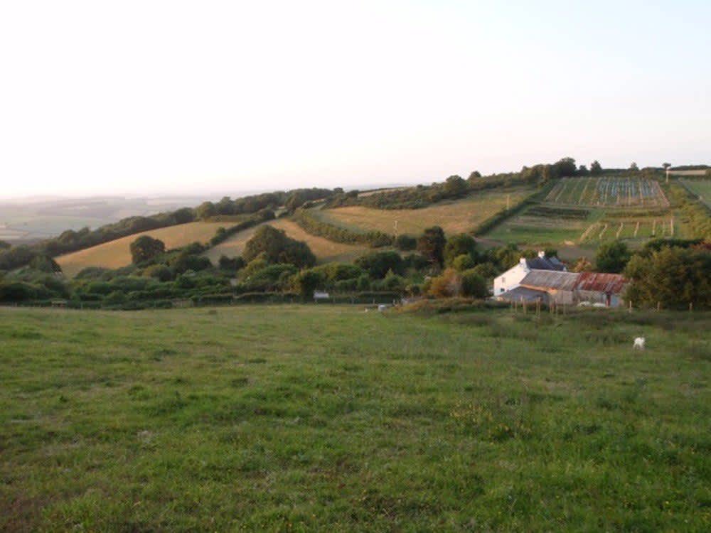 Burnicombe Farm - Hipcamp in Devon, England