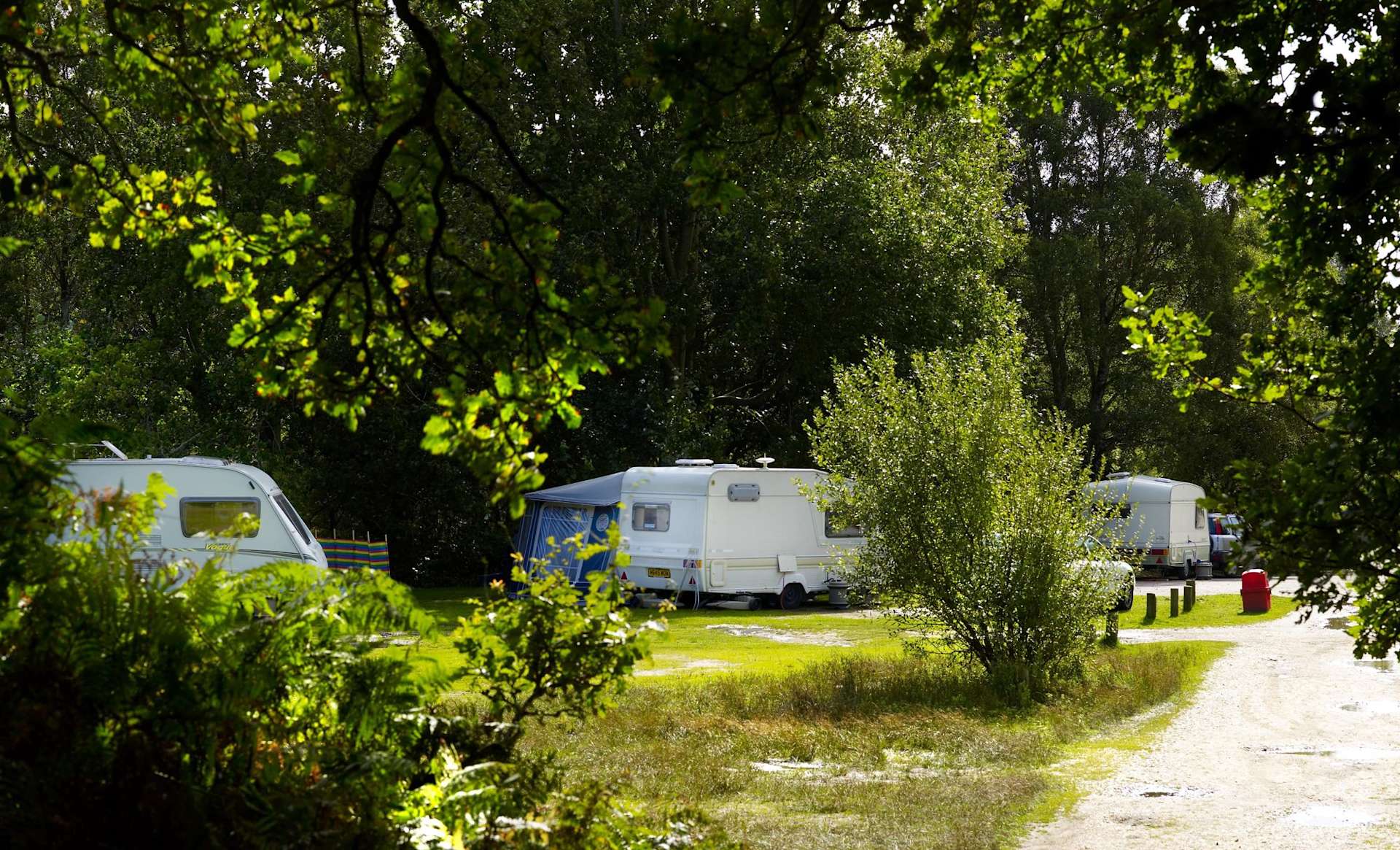 Holmsley Campsite - Hipcamp in Hampshire, England