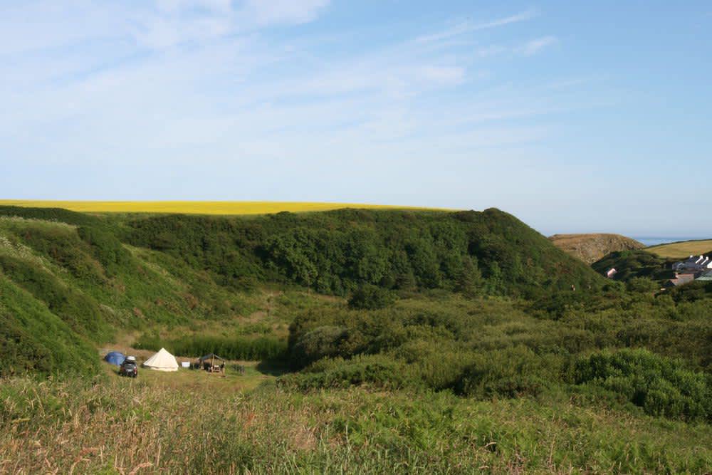 Trellyn Woodland - Hipcamp in Pembrokeshire, Wales