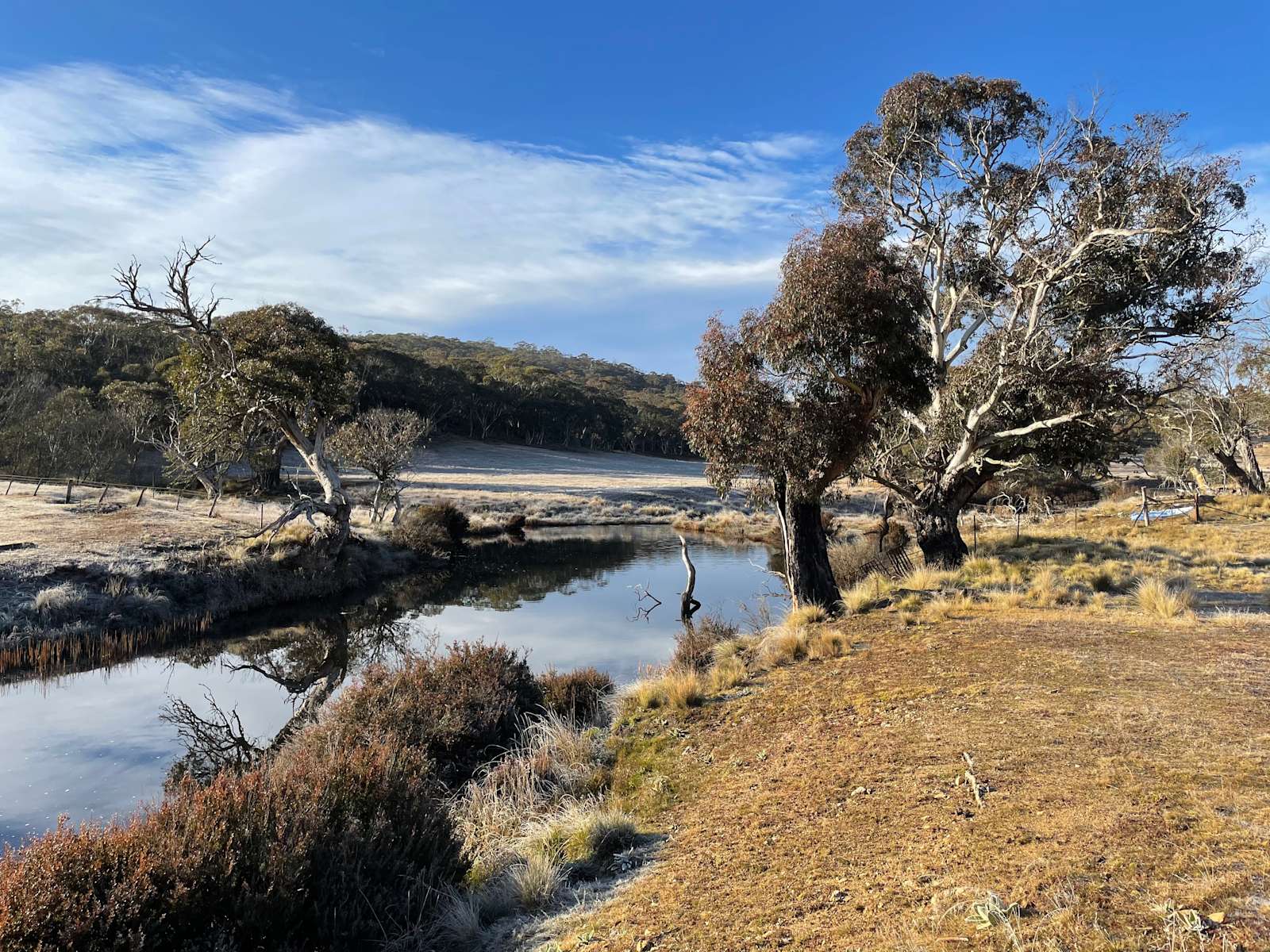 Kallarroo Farm, nr Nimmitabel - Hipcamp in Greenlands, New South Wales