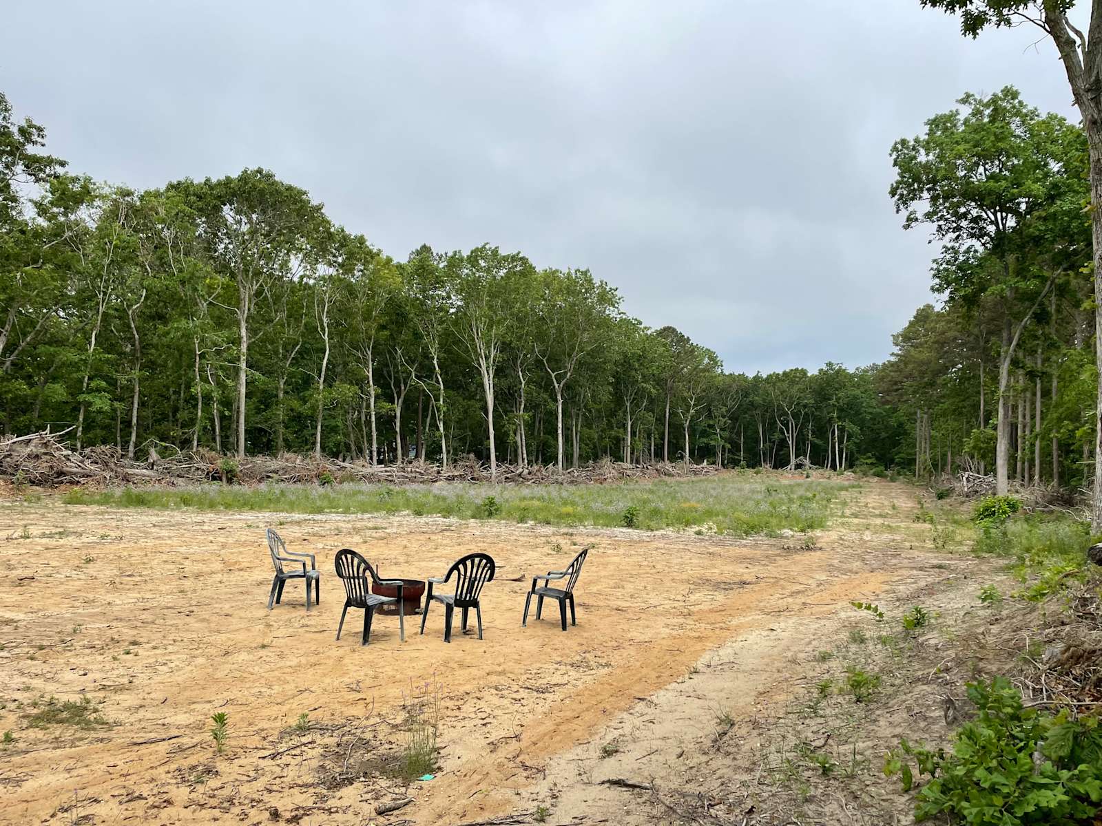 Open Field for Dry Camping - Hipcamp in Ocean View, New Jersey