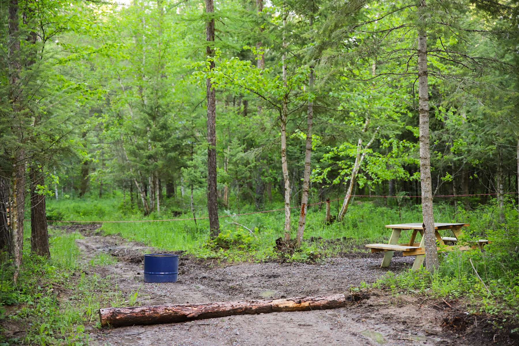 Camp Milo - Hipcamp in Columbia Falls, Montana