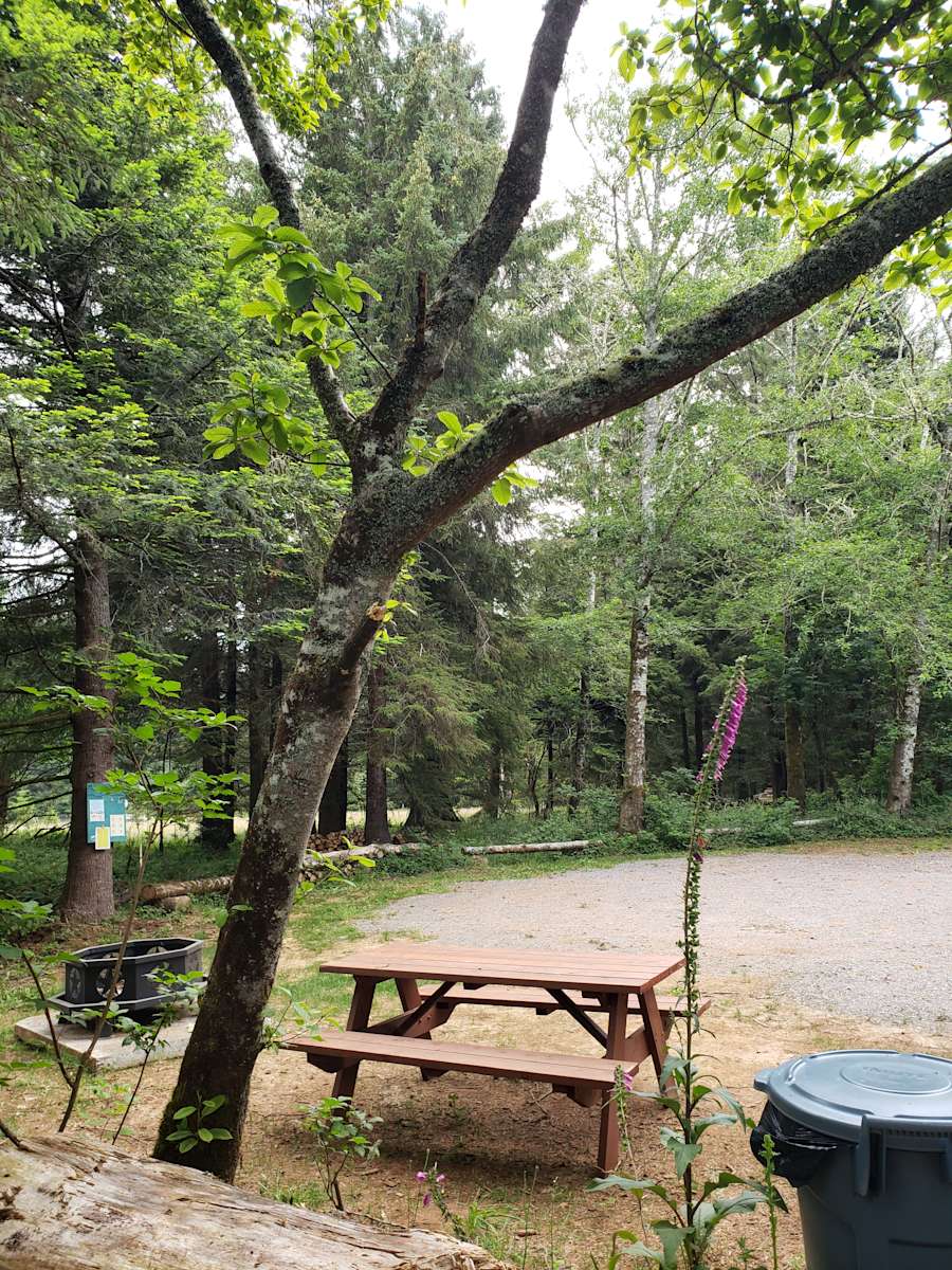 Coastal Forest Farm Camp - Hipcamp in Crescent City, California