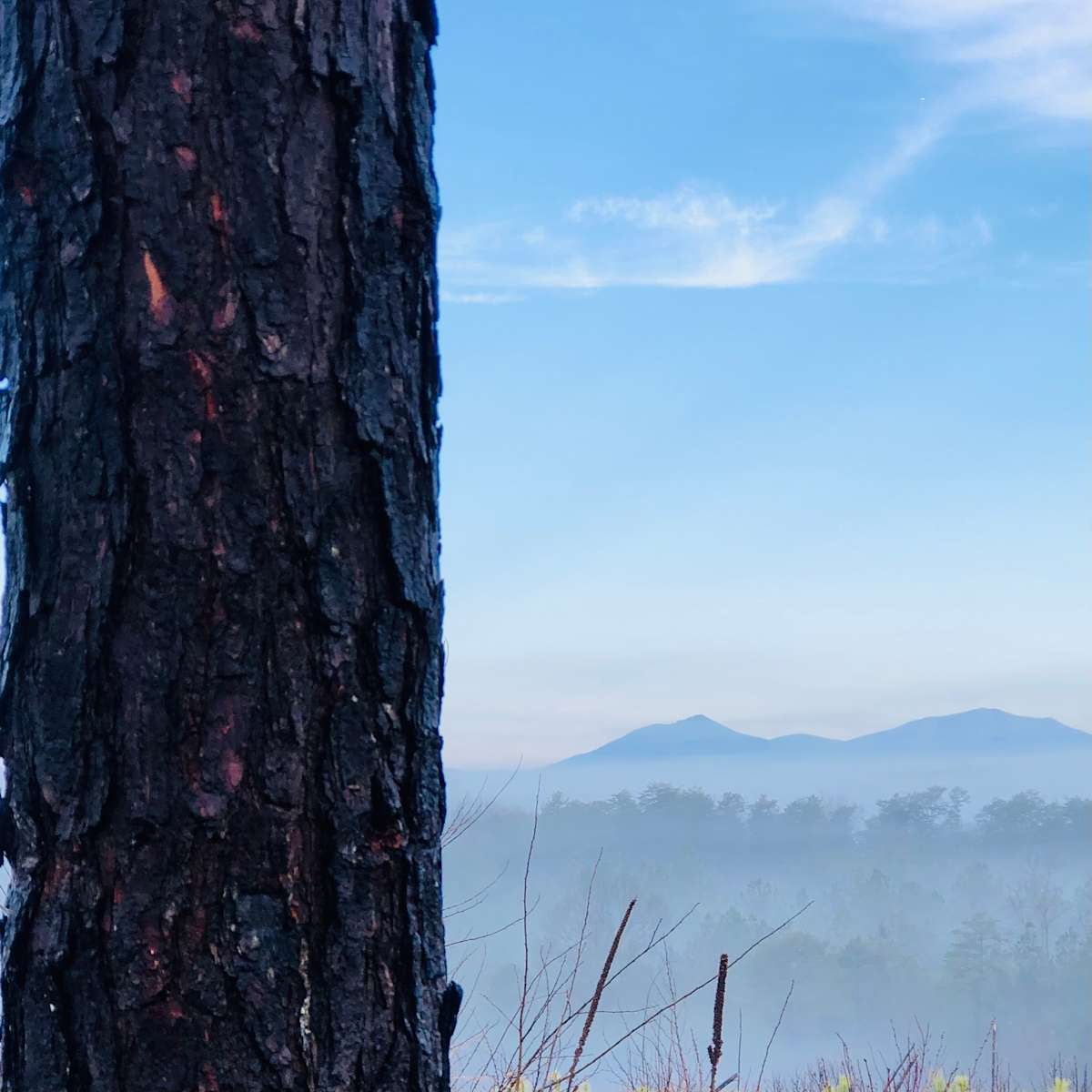Buttermilk Bluff - Hipcamp in Timberlake, Virginia