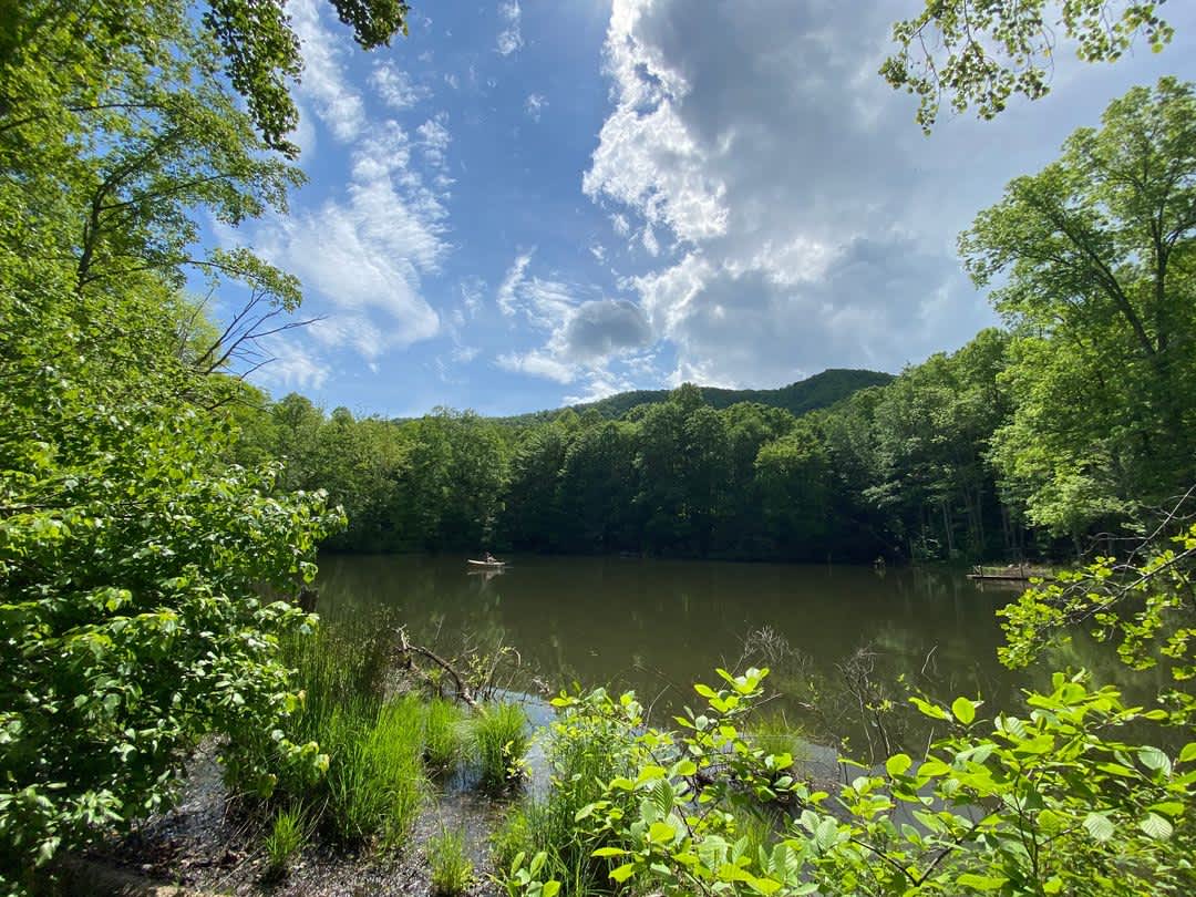 Hidden Lake - Hipcamp in Candler, North Carolina