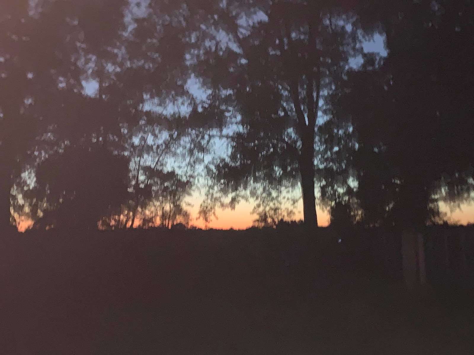 Ruby Acres - Hipcamp in Nahunta, Georgia