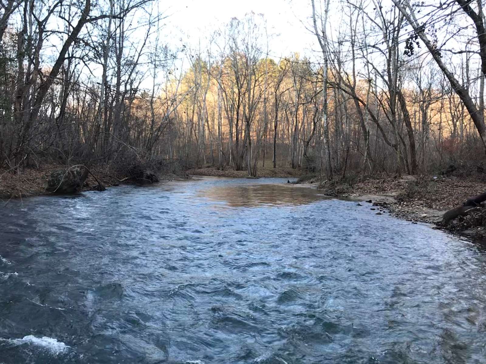 Bluegrass Holler - Hipcamp in Woodville, Virginia