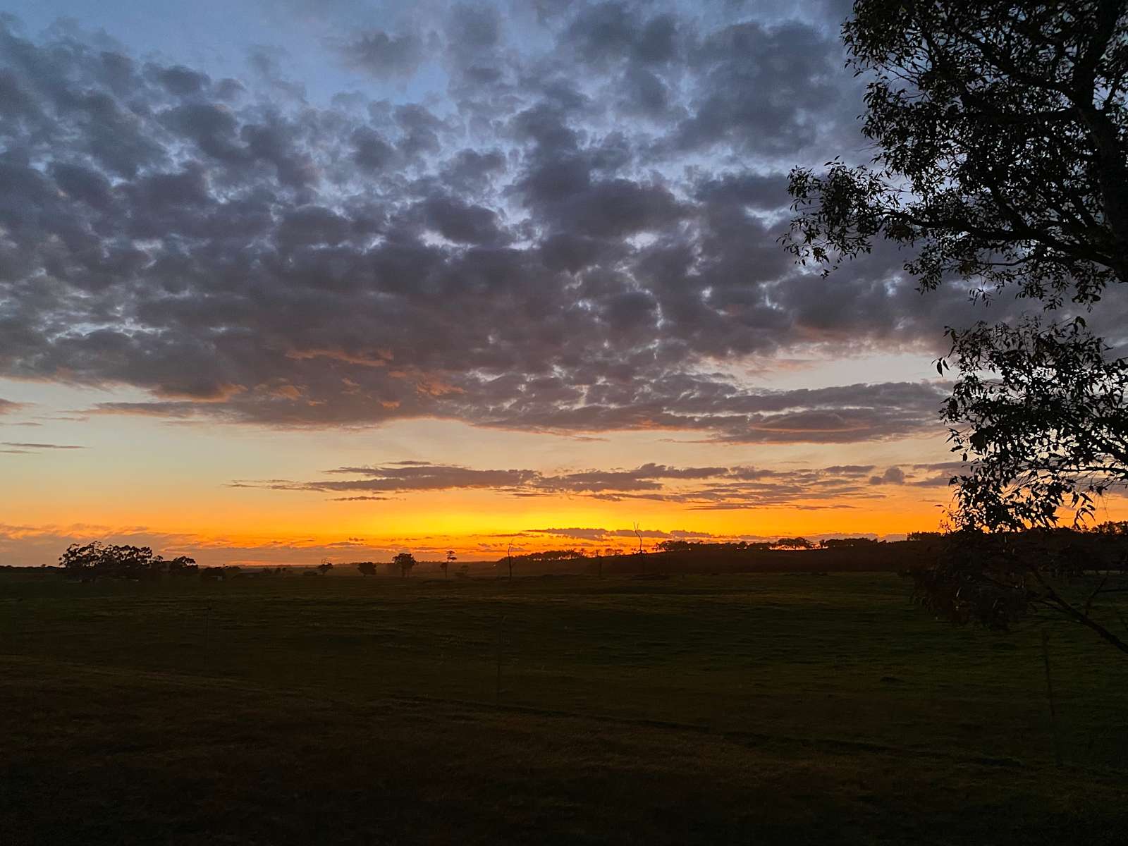 The Camp on Chester Pass - Hipcamp in Napier, Western Australia