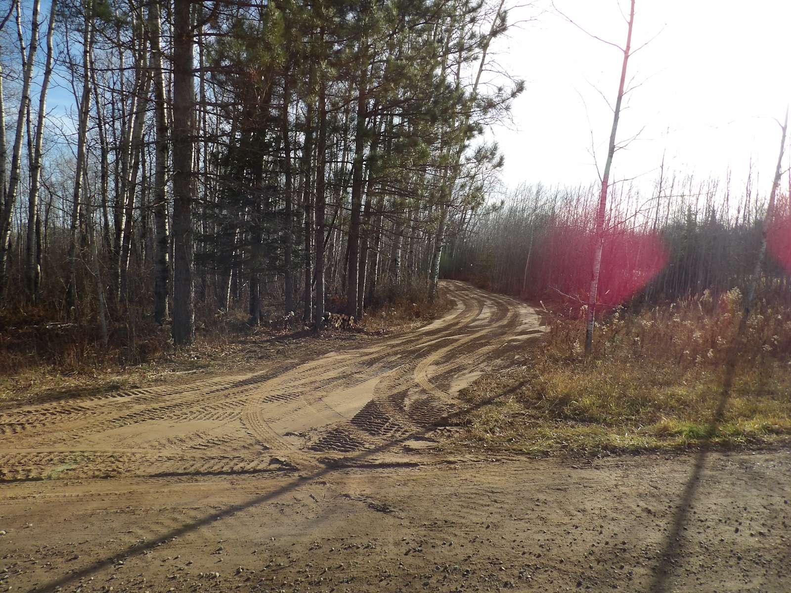 Camp Spooky - Hipcamp in Iron Junction, Minnesota