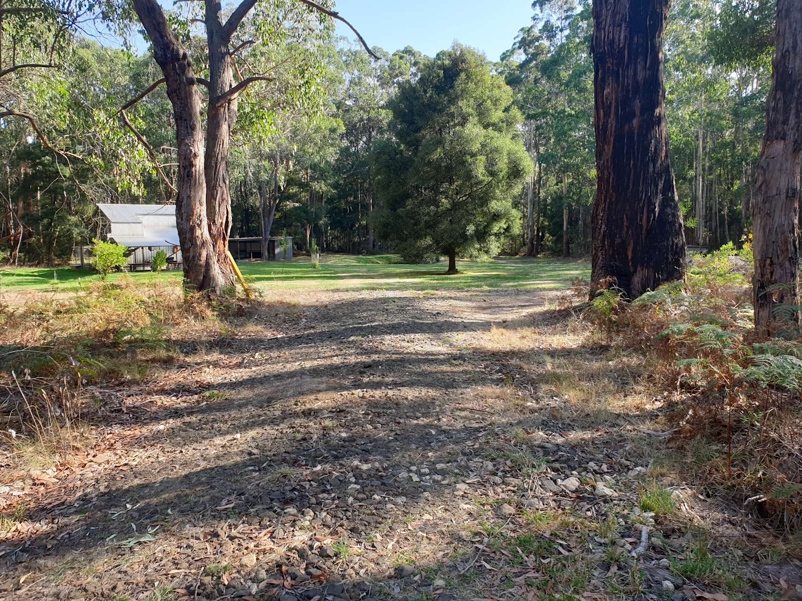Goldane Bush Retreat - Hipcamp in Naringal East, Victoria