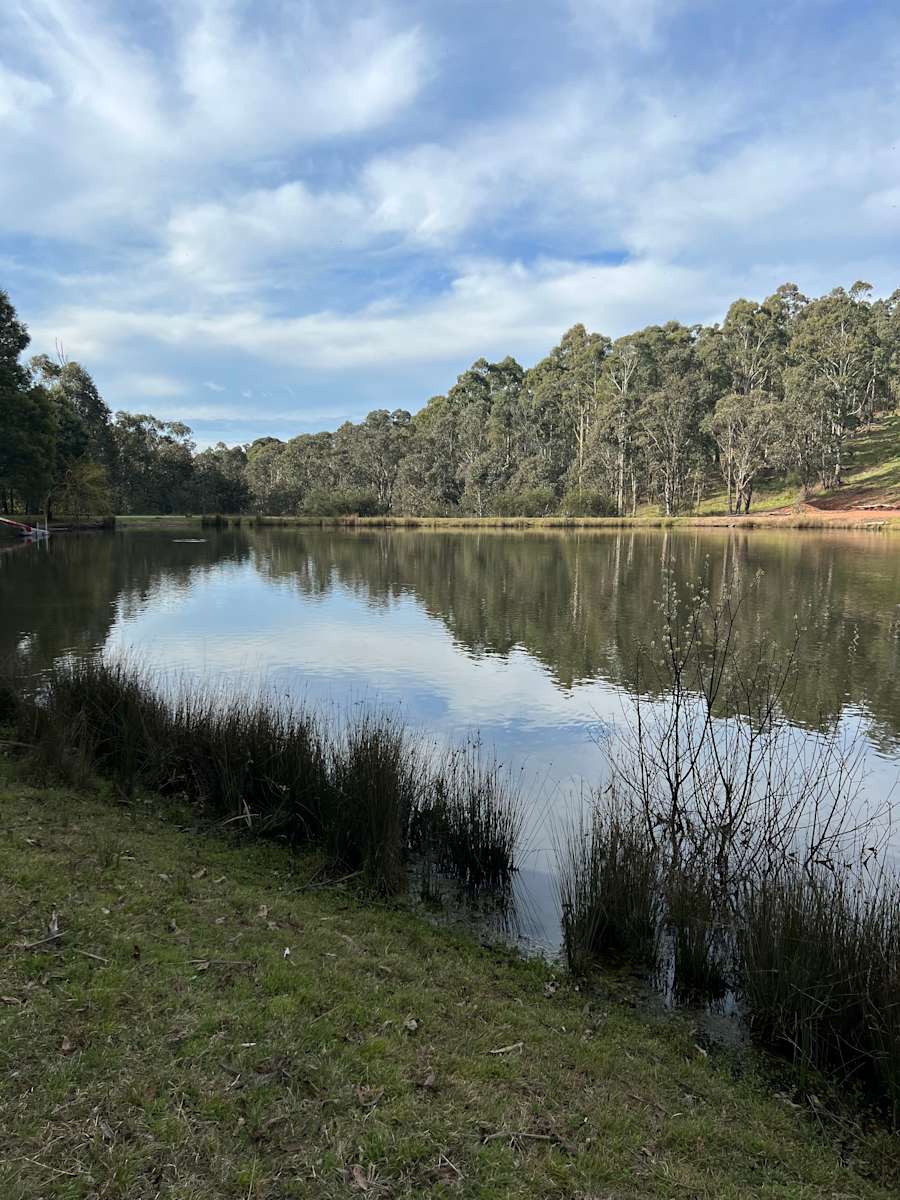 Alpine Breeze - Hipcamp in Tolmie, Victoria