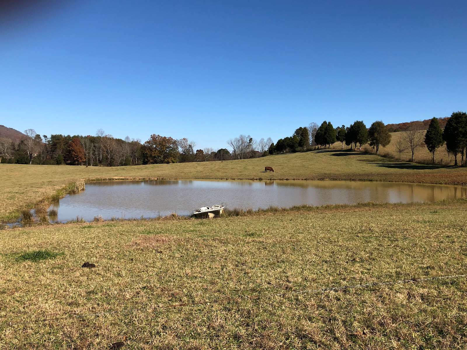 Jackie Deans Cattle Farm - Hipcamp in Rockwood, Tennessee