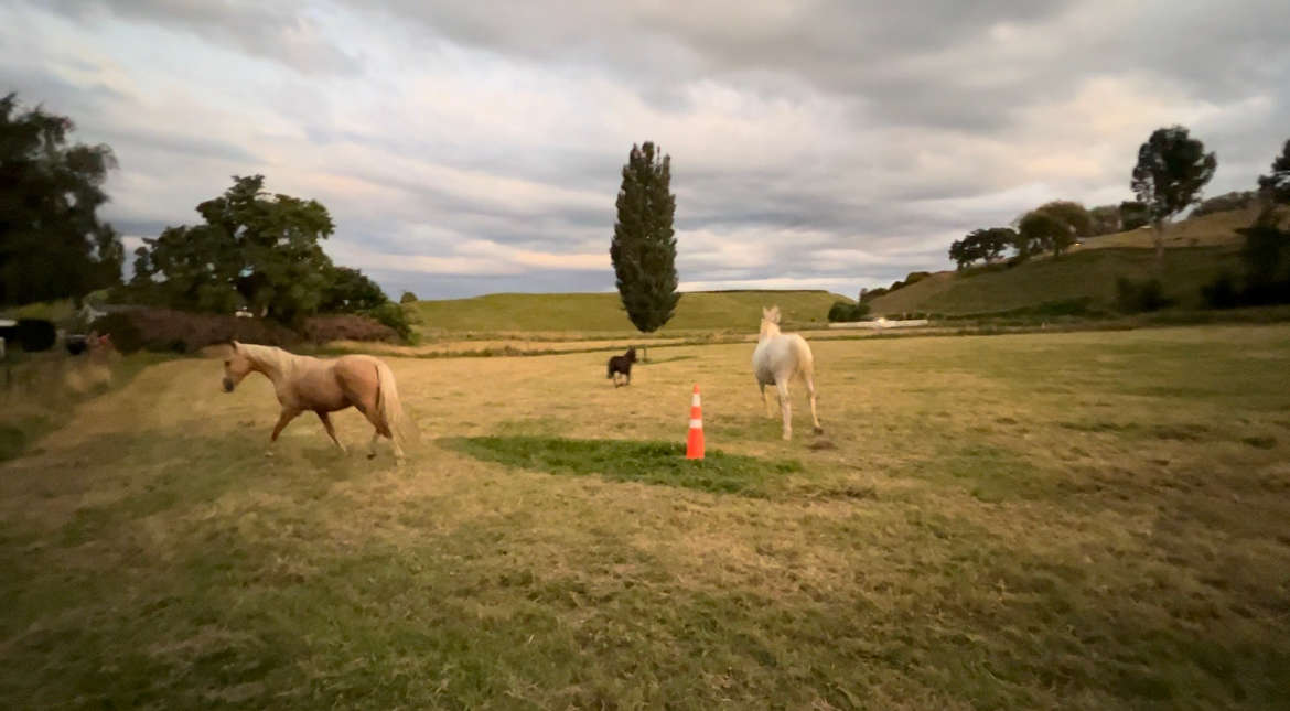 Tapapa Station - Hipcamp