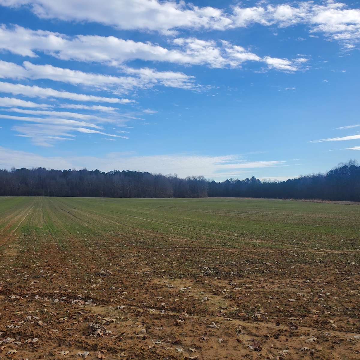 Clanton Family Farm - Hipcamp in Enfield, North Carolina