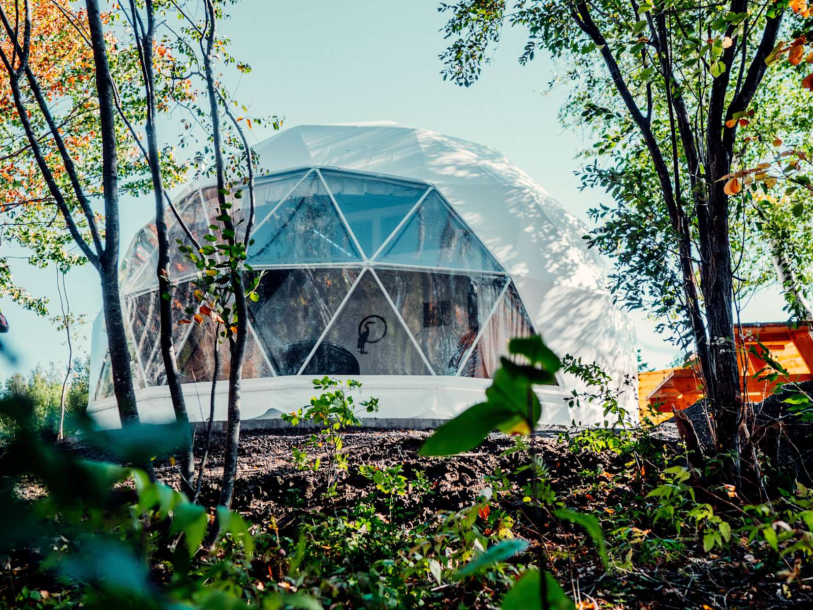 Creekside RnR Glamping - Hipcamp in Cocagne, New Brunswick