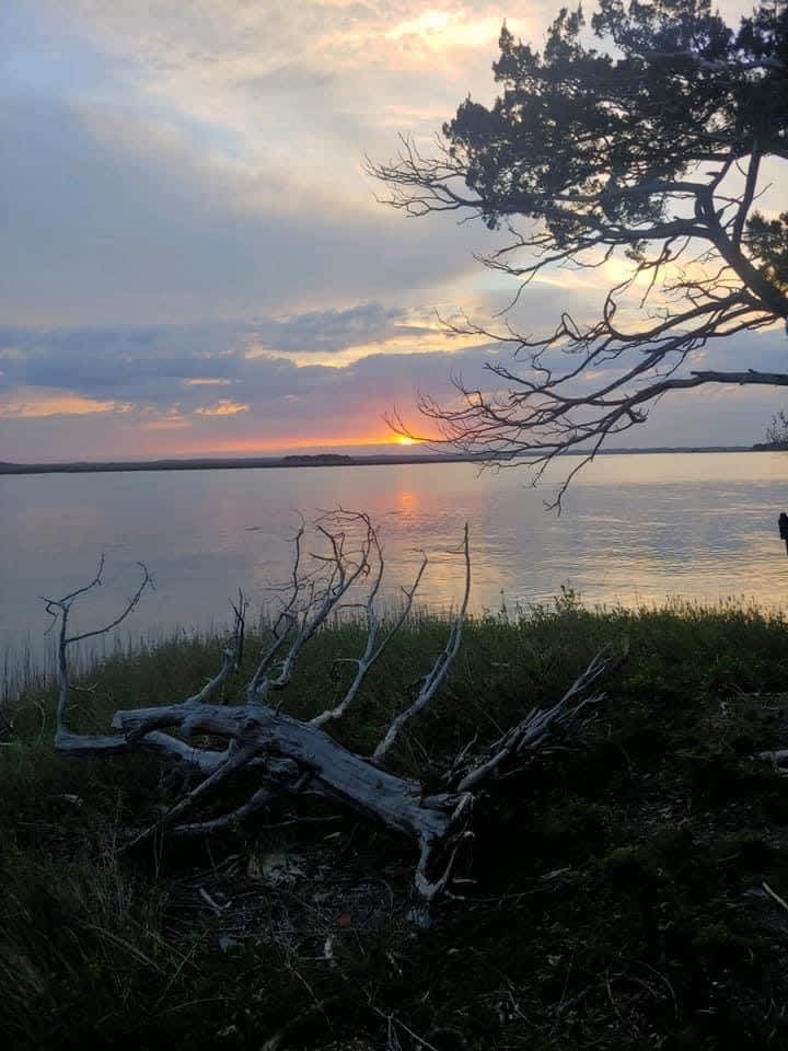 Parks Place at Commodore Island - Hipcamp in Darien, Georgia