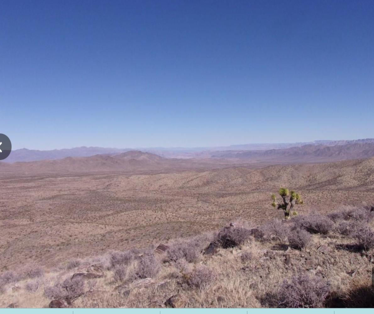 Junebug Ranch - Hipcamp in White Hills, Arizona