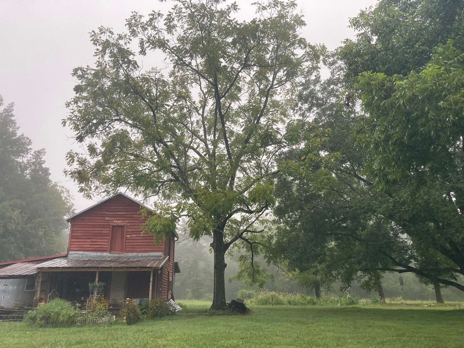 Ancient Spring Farm - Hipcamp in Snow Camp, North Carolina