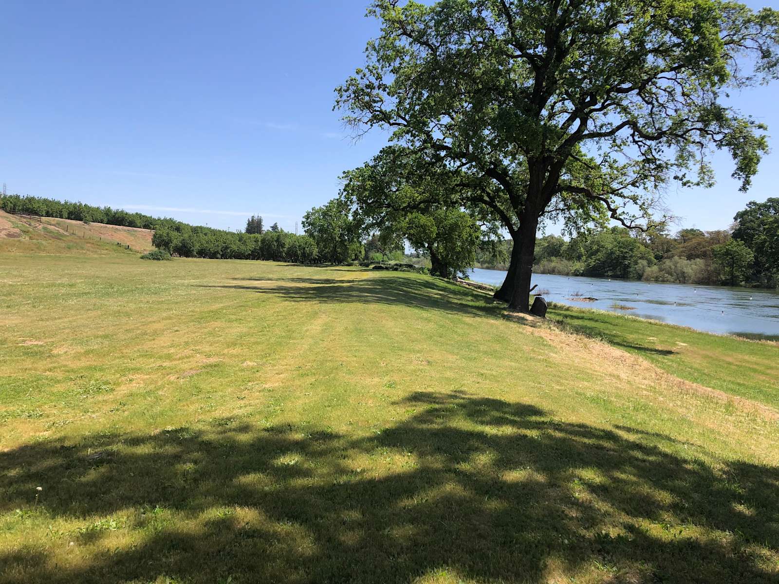 Cole Ranch - Hipcamp in Waterford, California