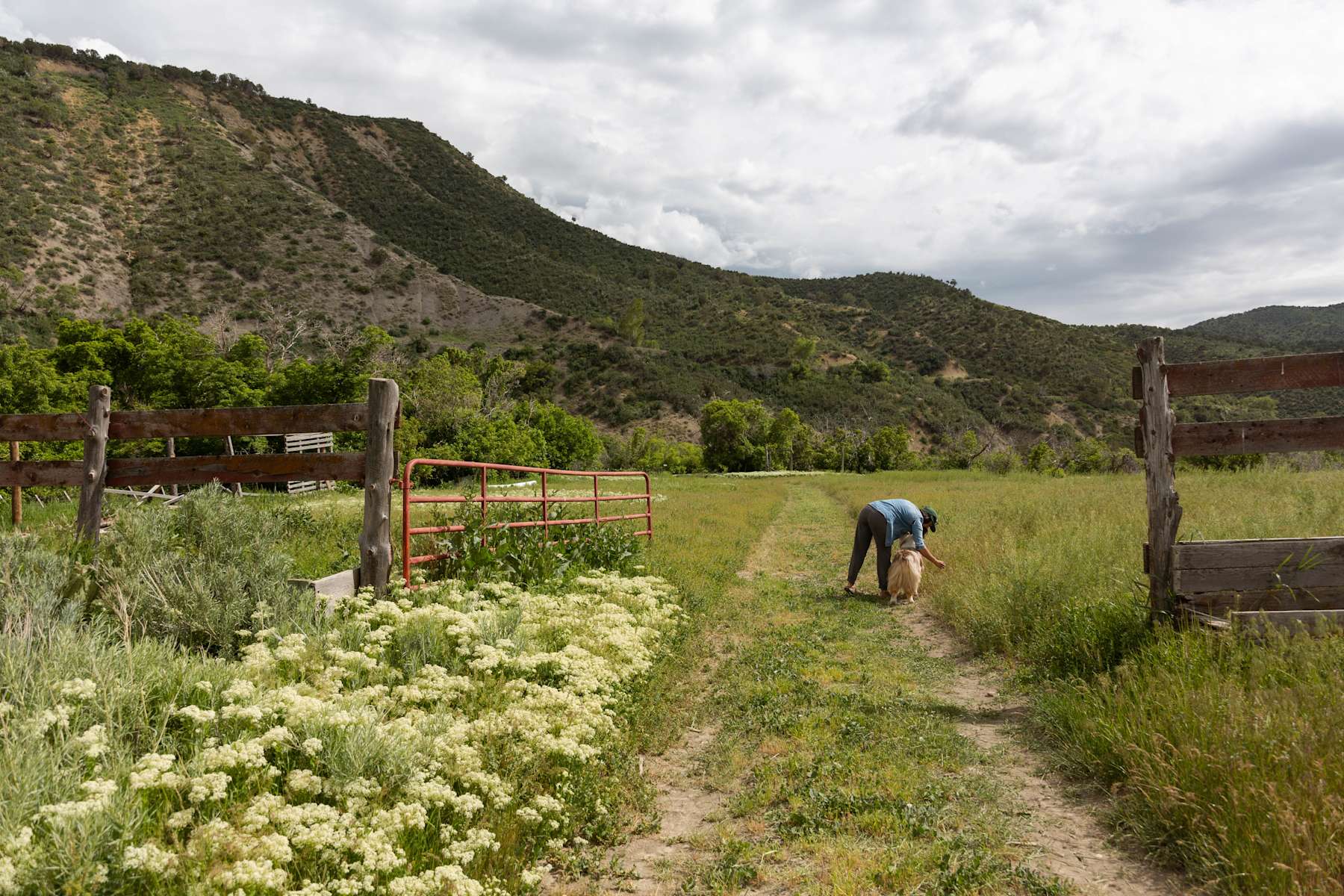 Wild Abandon Ranch - Hipcamp in Paonia, Colorado