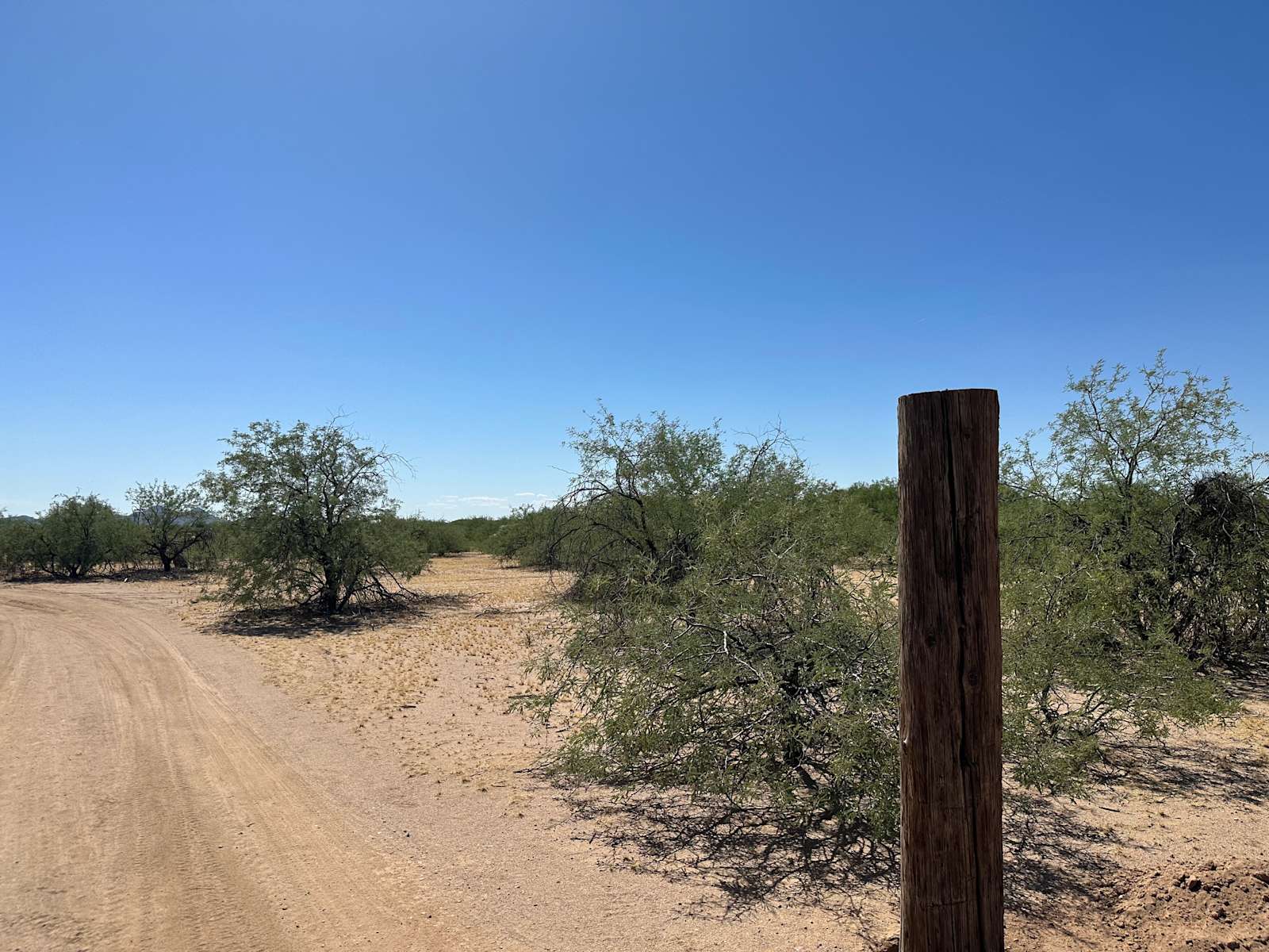 Dusty Dogg Ranch - Hipcamp in Marana, Arizona