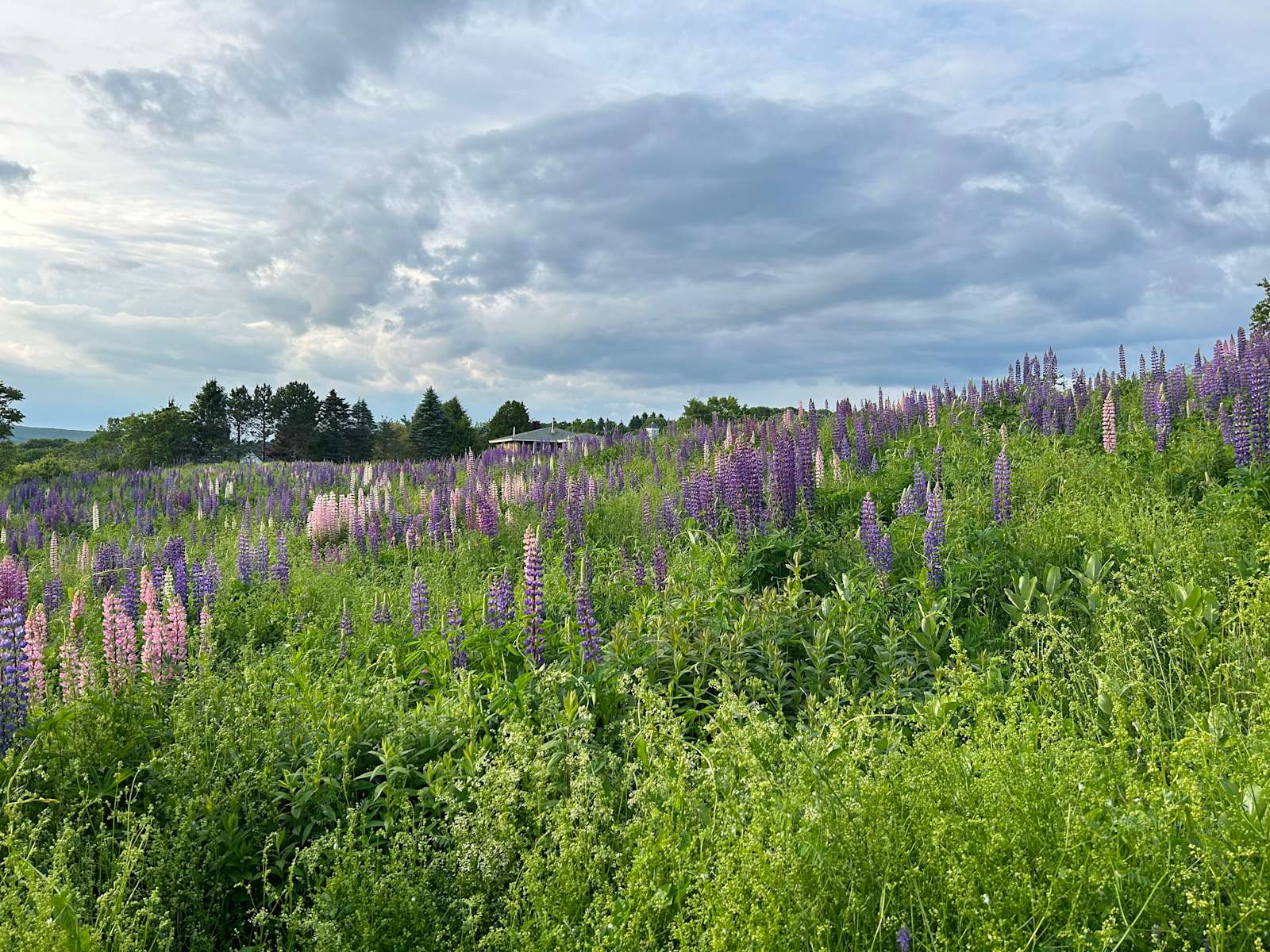 George’s highland edge - Hipcamp in Rockport, Maine
