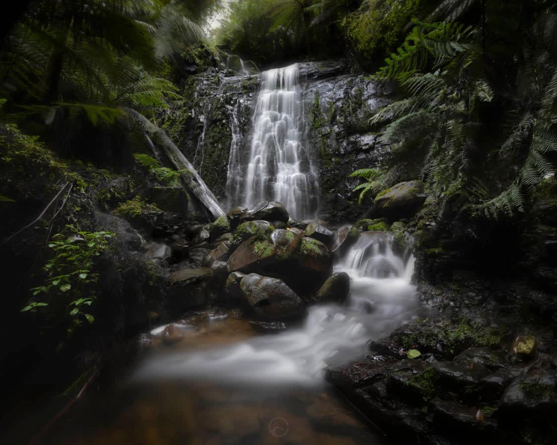 The Source, Otways - Hipcamp in Tanybryn, Victoria